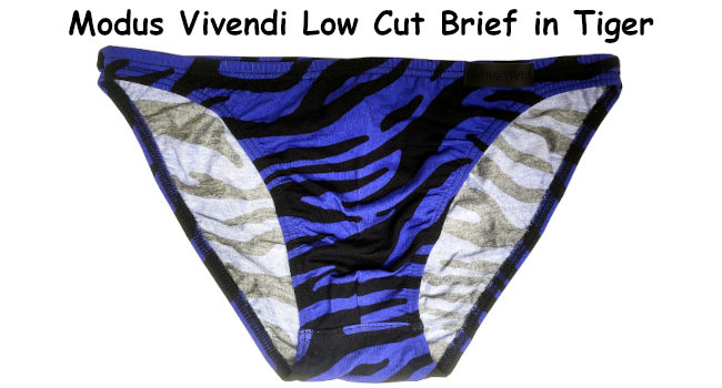Review: Modus Vivendi Low Cut Brief in Tiger - The Bottom Drawer